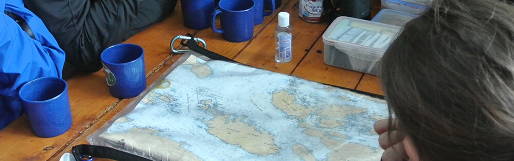 Sea Kayaking Guiding Trips in Johnstone Strait