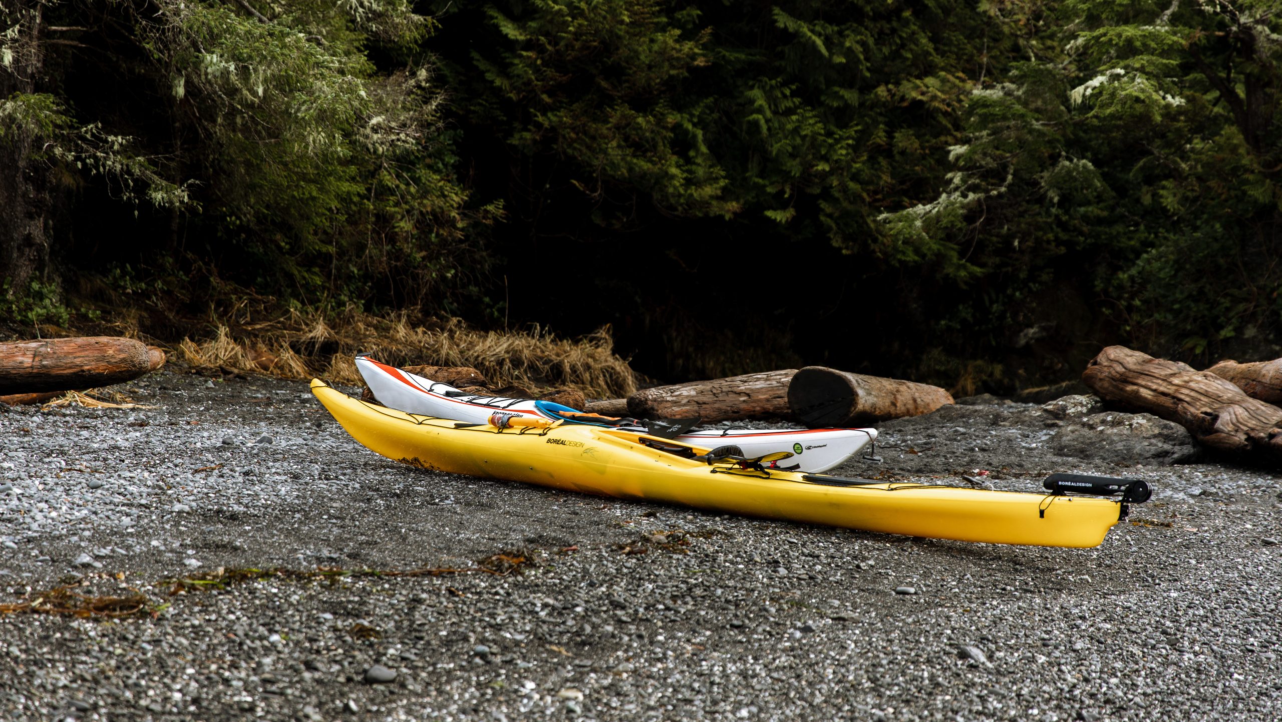 Coastal Caretakers, cleanups, invasive species, kayaking