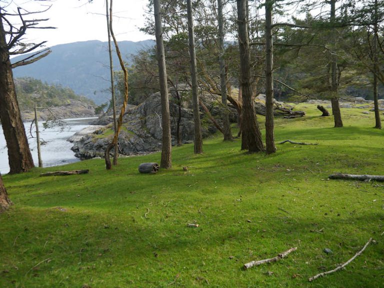 Kayaking The Sunshine Coast, Thormanby Island and Jedediah Island - BC ...