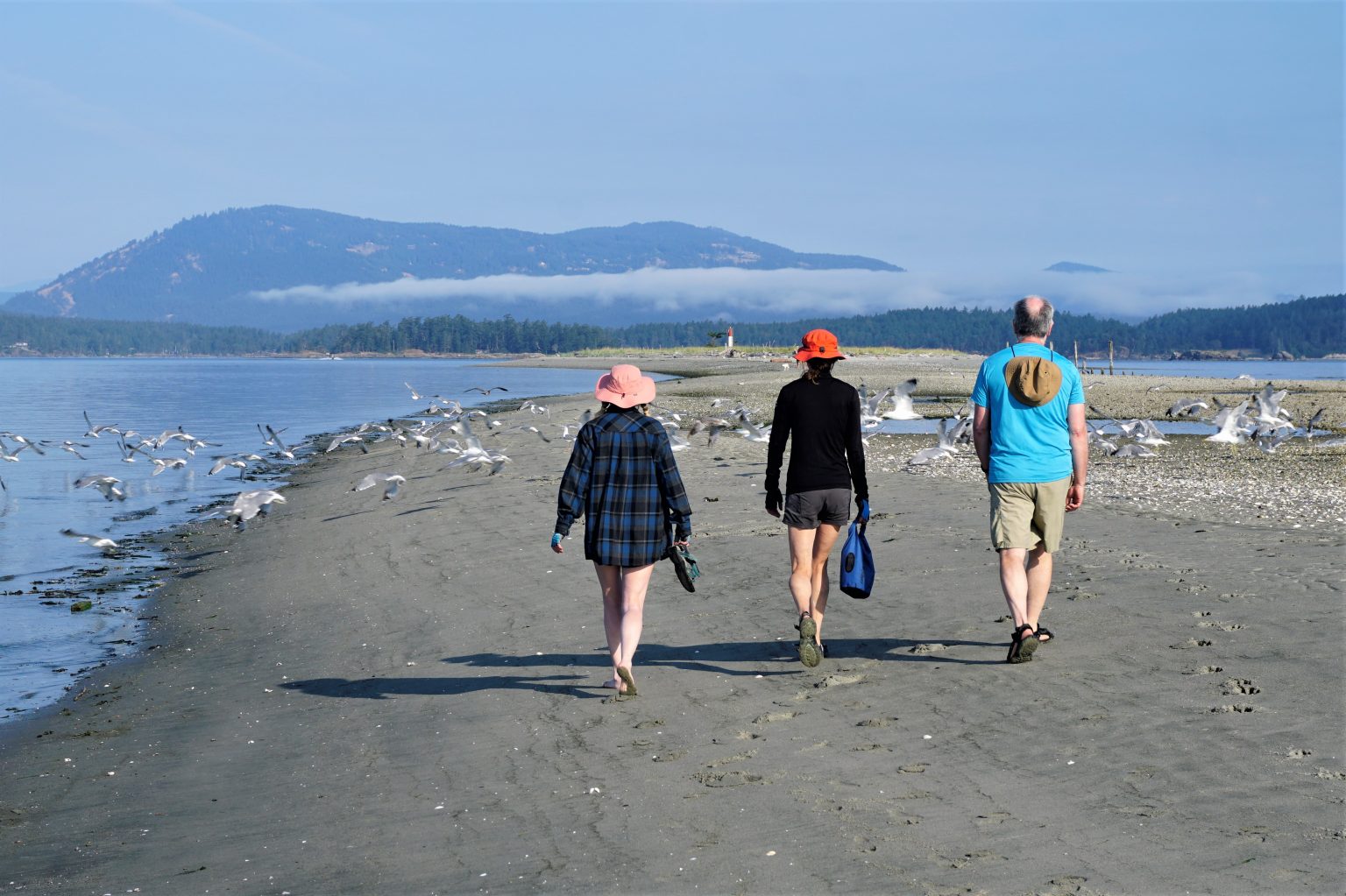 Blissful Beaches: A Guide to BC’s Best 5-Star Beaches for Sea Kayakers ...